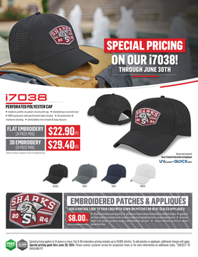 Flyers - capamerica.com