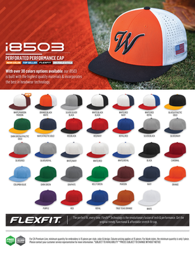 Flyers - capamerica.com