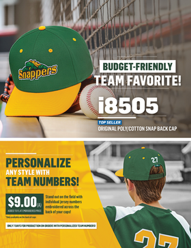 Flyers - capamerica.com