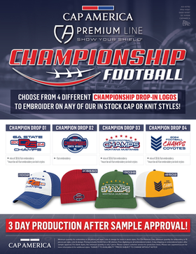 Flyers - capamerica.com